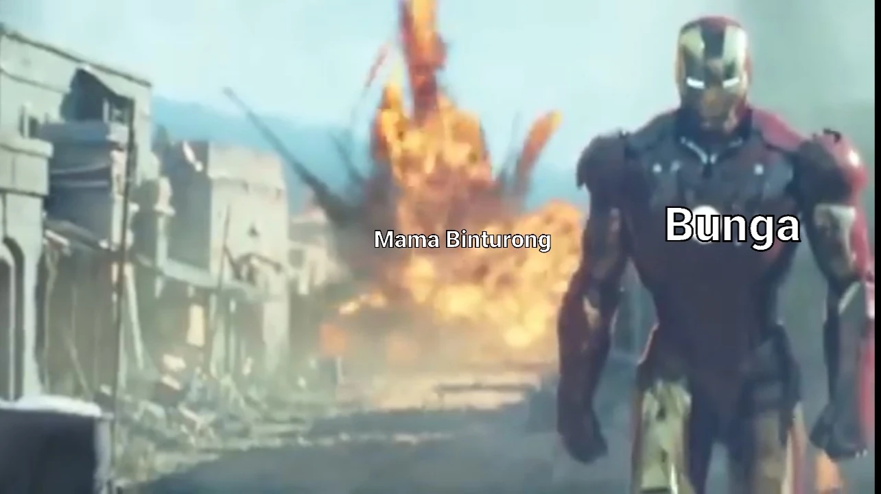 Bunga's not-so secret weapon (meme) | Fandom