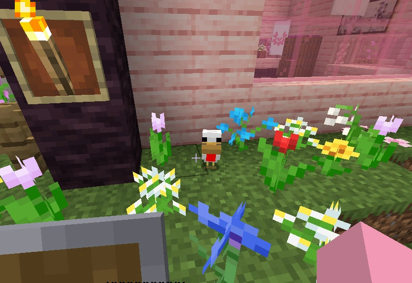 the amazing adventures of baby chicken | Fandom