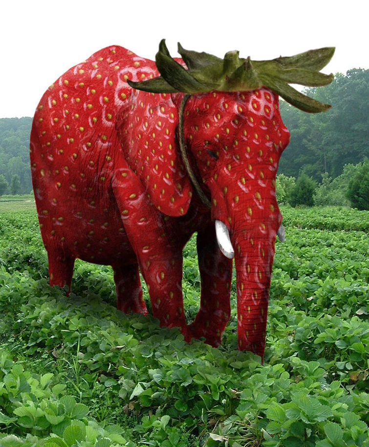 Added something the the Strawberry Elephant page | Fandom