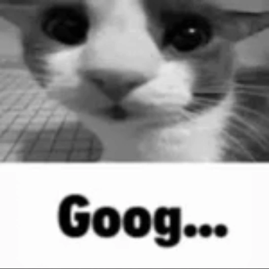 who is this guy? who does he think he is? does he think he's cool? is ...