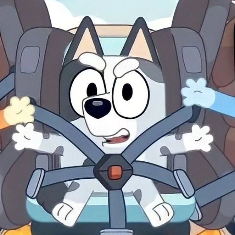 Discuss Everything About Bluey Wiki | Fandom