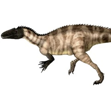 Discuss Everything About Dinopedia | Fandom