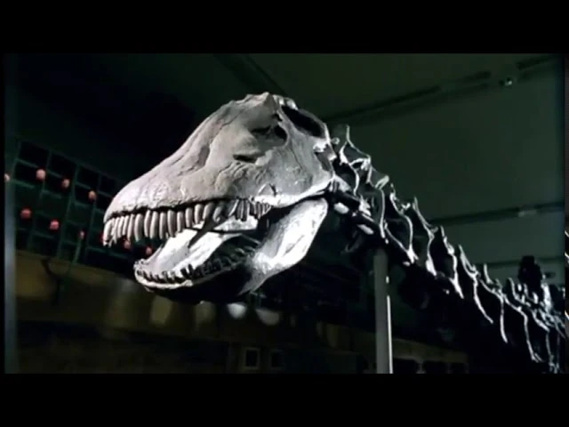 The Ballad of Big Al Spin Wheel Battles | Fandom