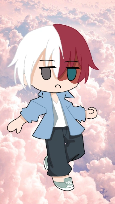 t o d o r o k i | Fandom