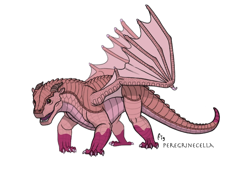 mudwing = pink = olm | Fandom