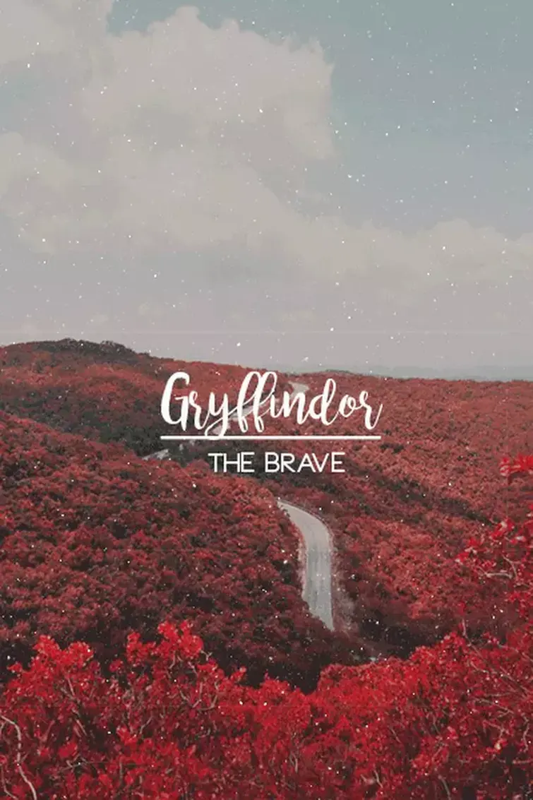Gryffindor pride day! | Fandom