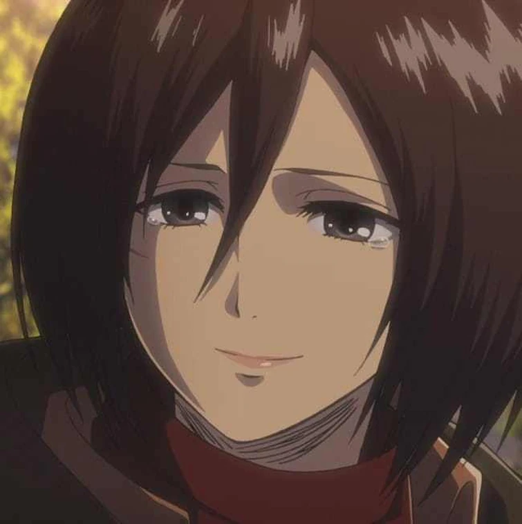 What makes Mikasa special ? | Fandom