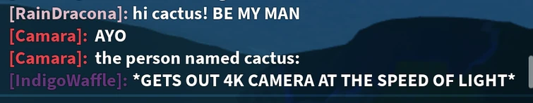 Average Private Server | Fandom