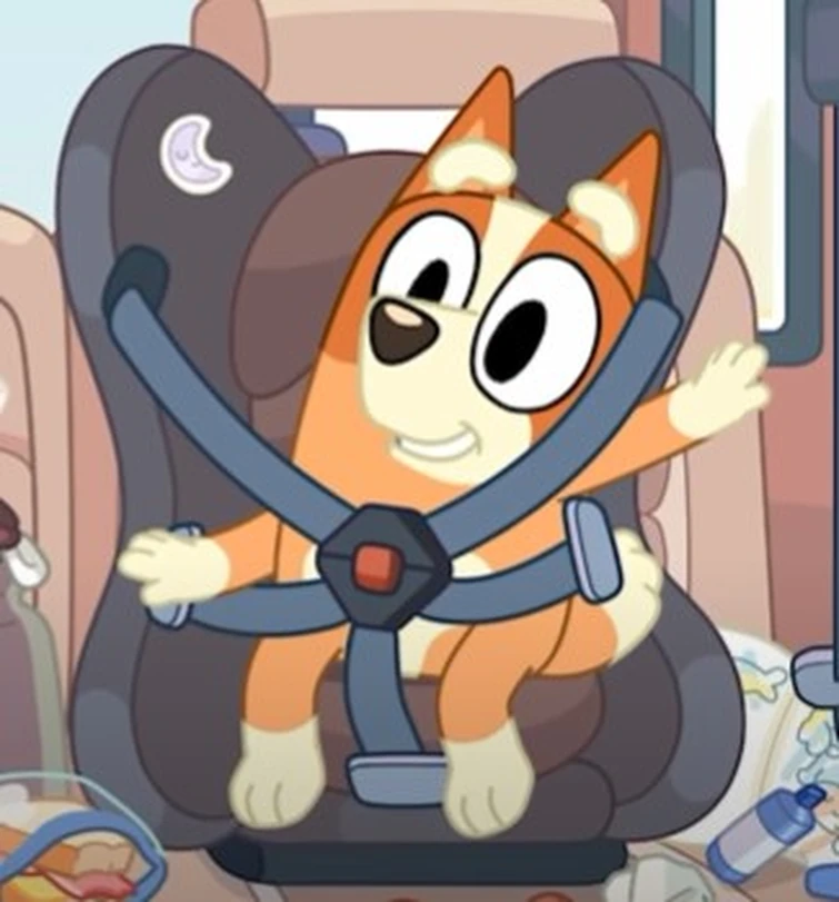 Discuss Everything About Bluey Wiki | Fandom