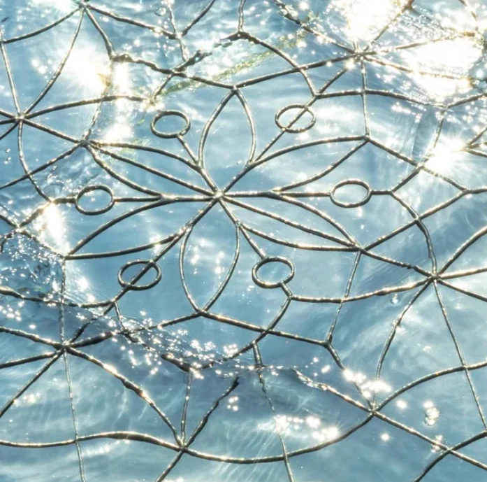 Rate This Album Cover | Fandom