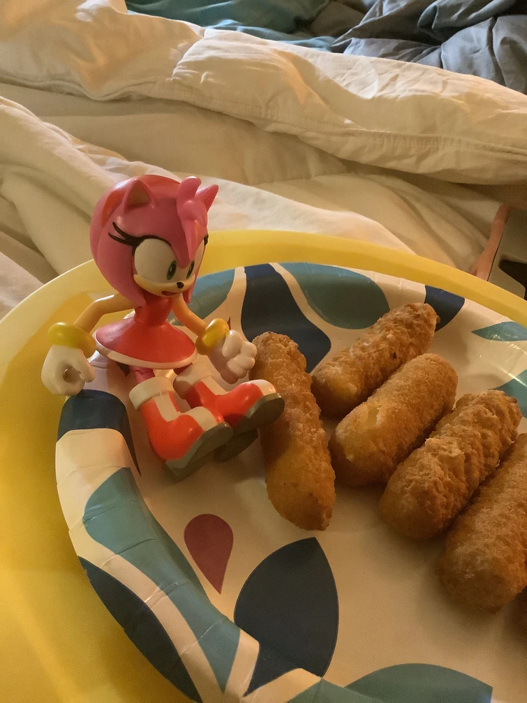 Amy rose with my mozzarella sticks | Fandom