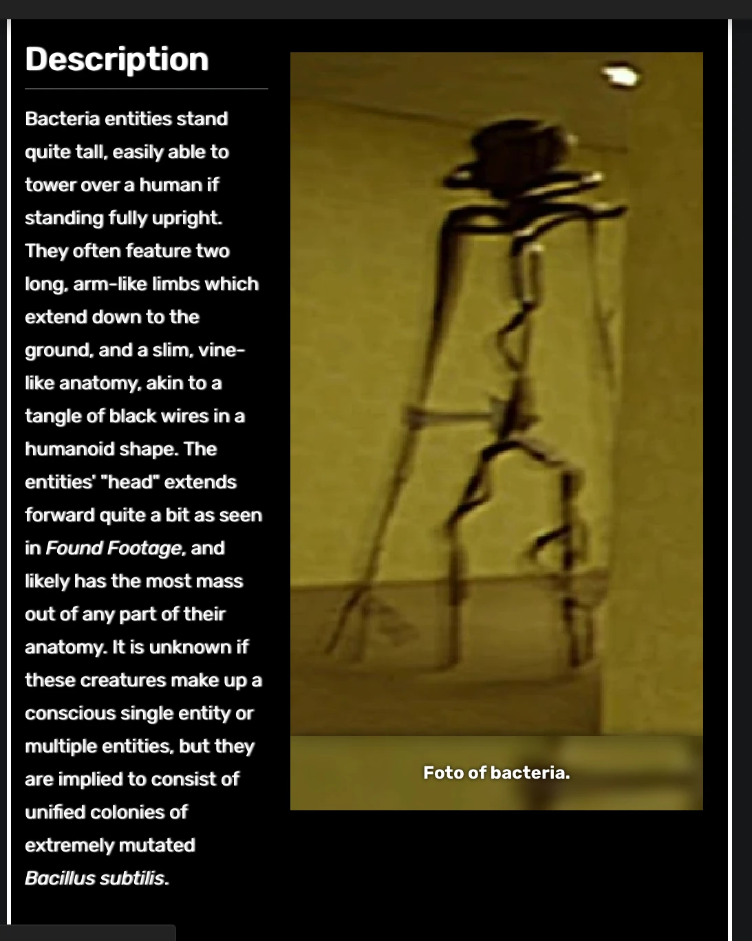 broooooo..... | Fandom