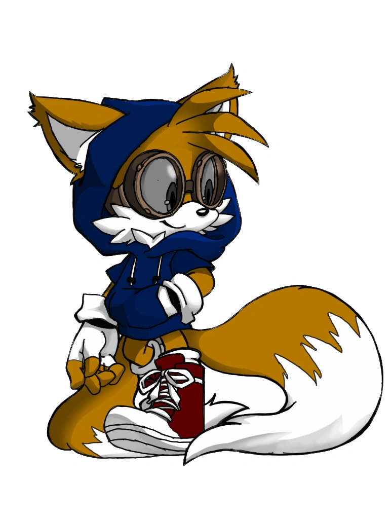 idk what to post so here's a picture of tails in a hoodie | Fandom