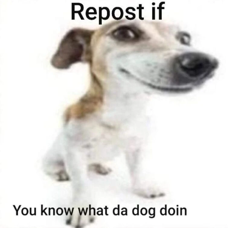 Probably going to leave the wiki for a while | Fandom