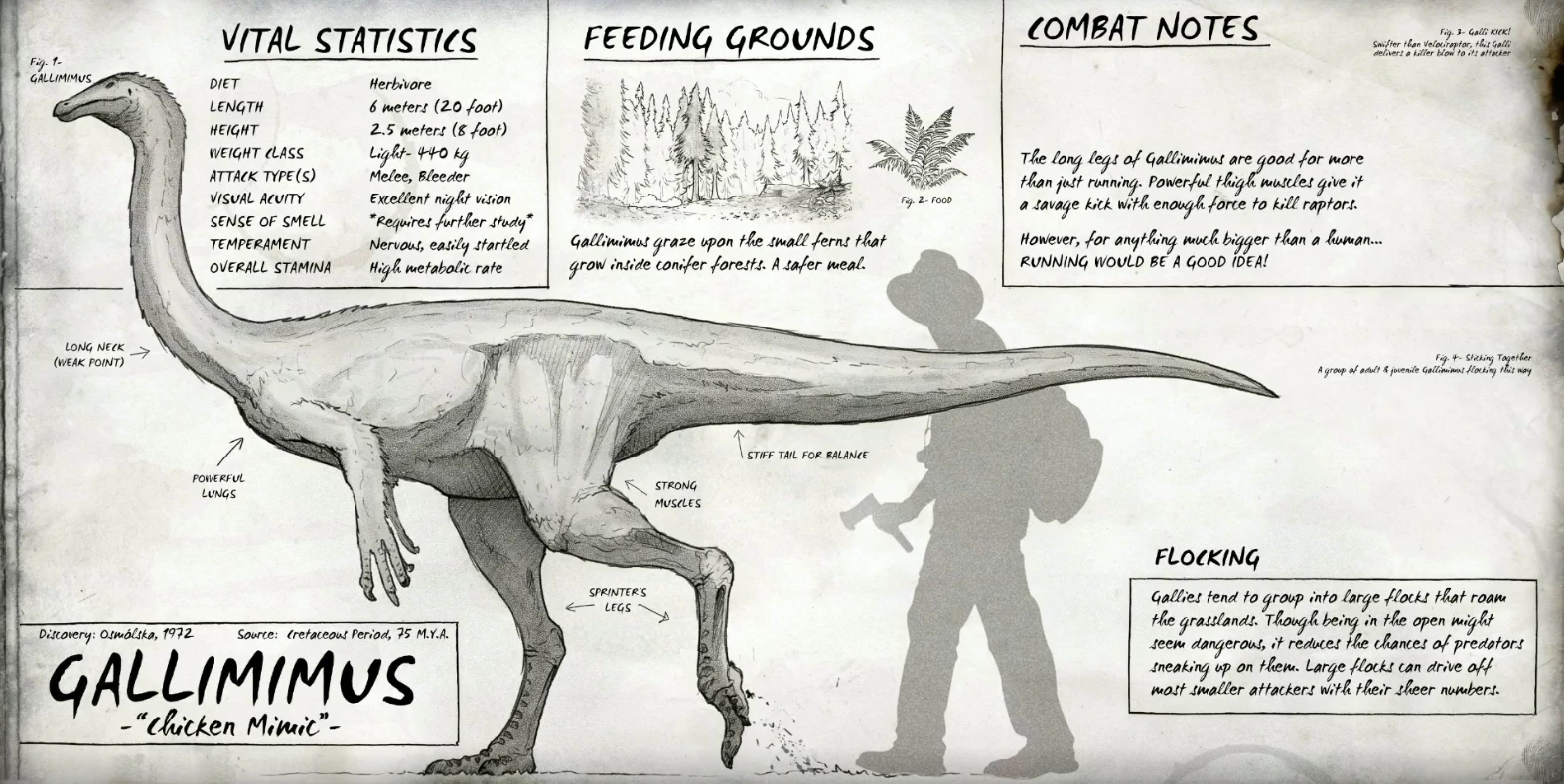 Gallimimus from the isle | Fandom