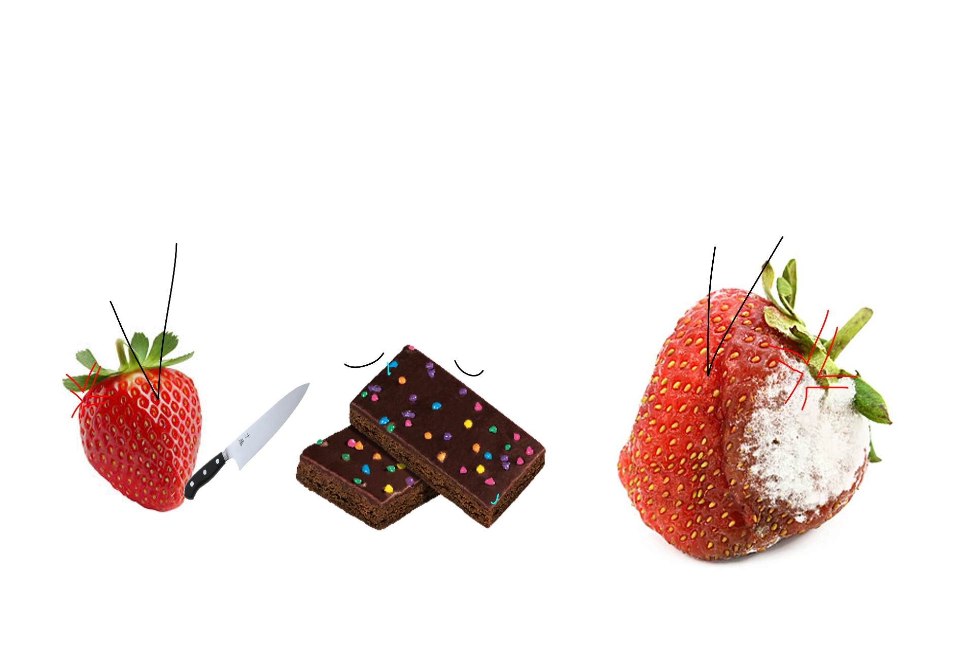 cosmo the boys are fighting again 😞 | Fandom