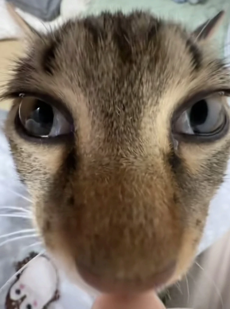 Benji I wanna talk with you..... | Fandom