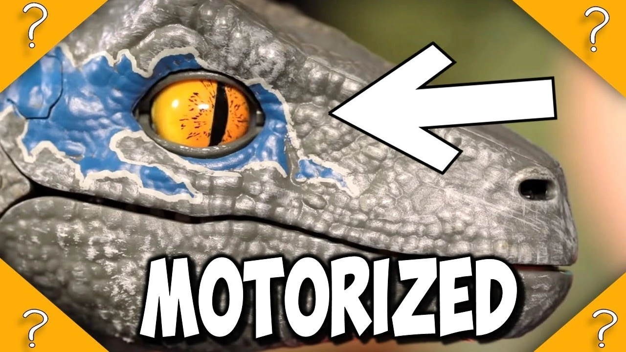 Alpha training blue | Fandom