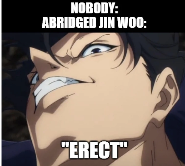 Solo Leveling Meme I made. | Fandom