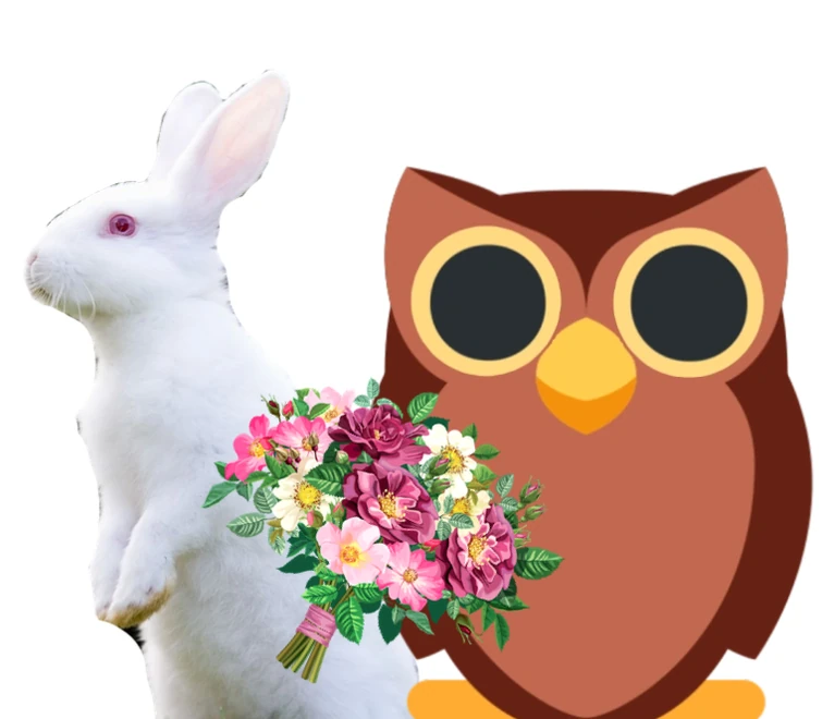 Someone draw me kissing this owl | Fandom