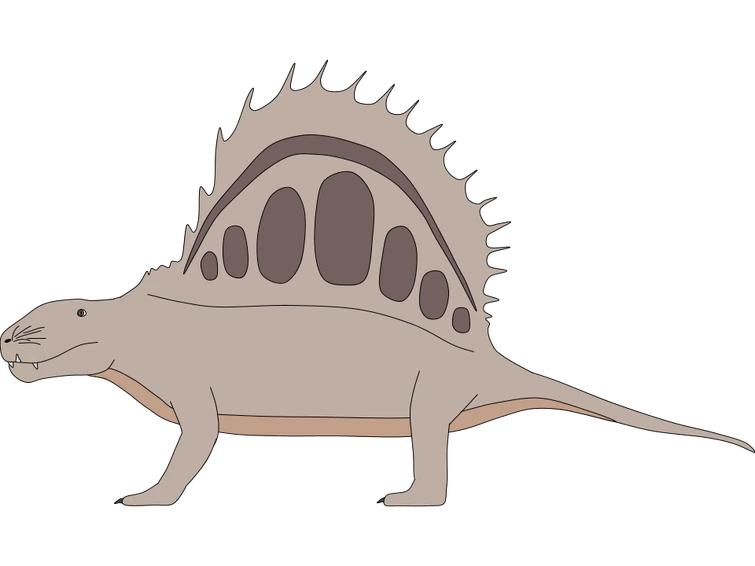 Dimetrodon | Fandom
