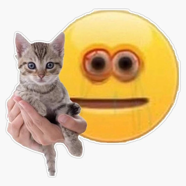 Guys leave pfps below | Fandom