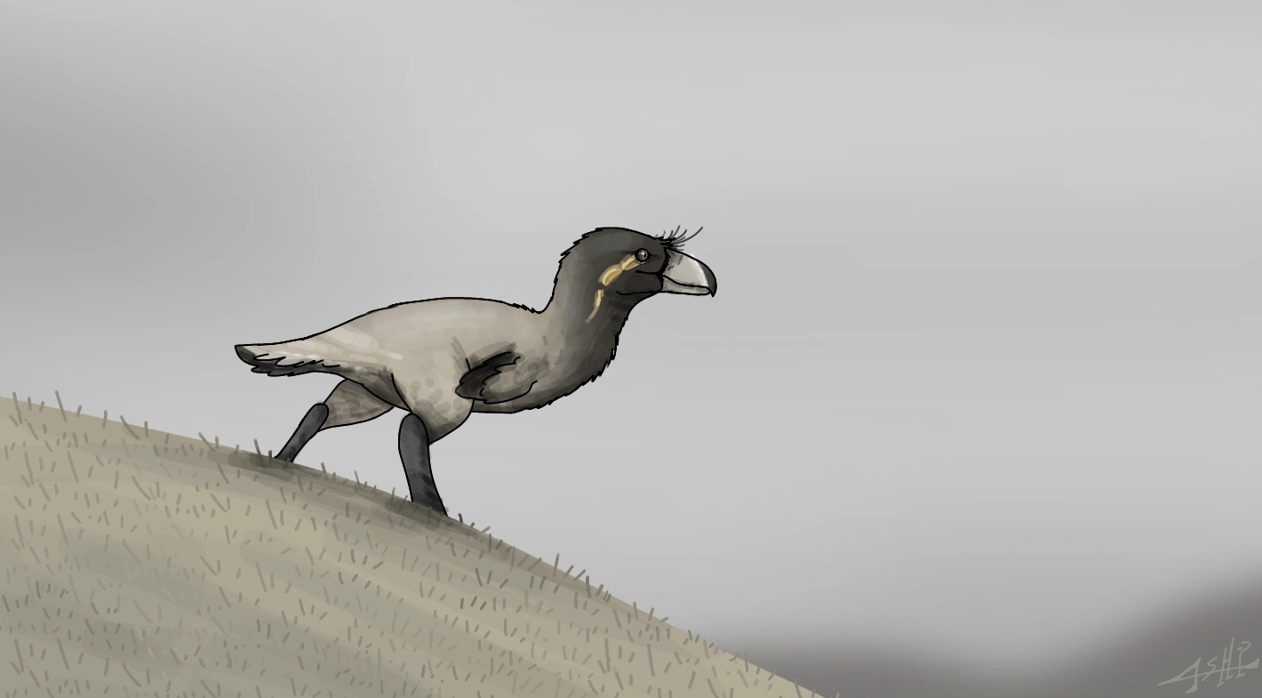 Psilopterus drawing | Fandom