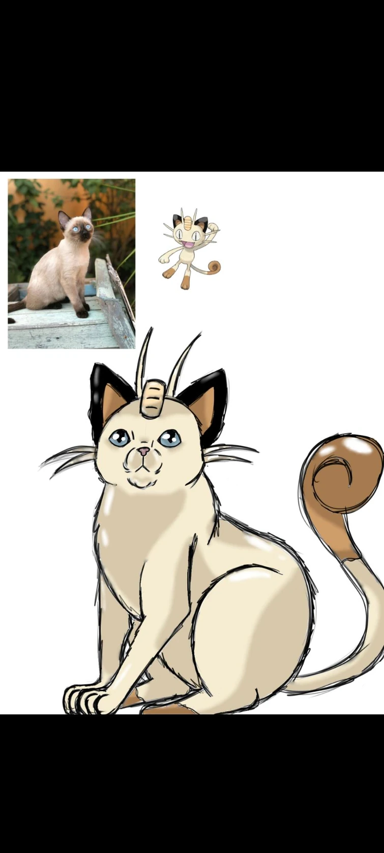 Realistic meowth😺 | Fandom