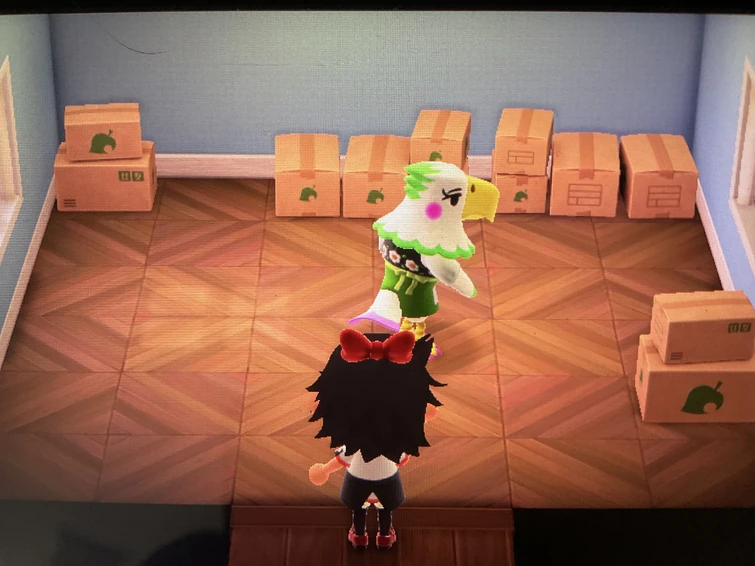 Discuss Everything About Animal Crossing Wiki | Fandom