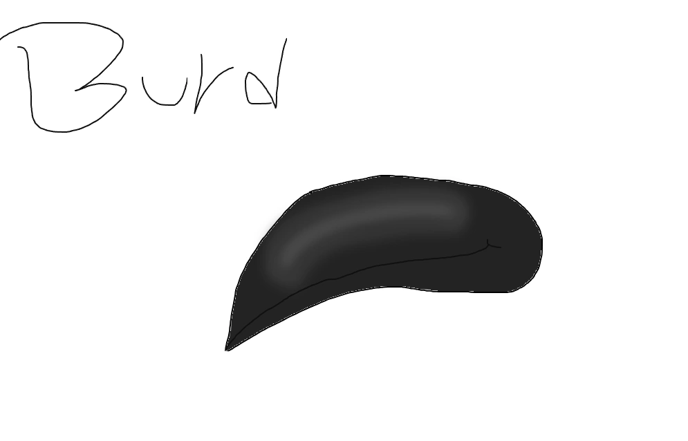 bird beak | Fandom