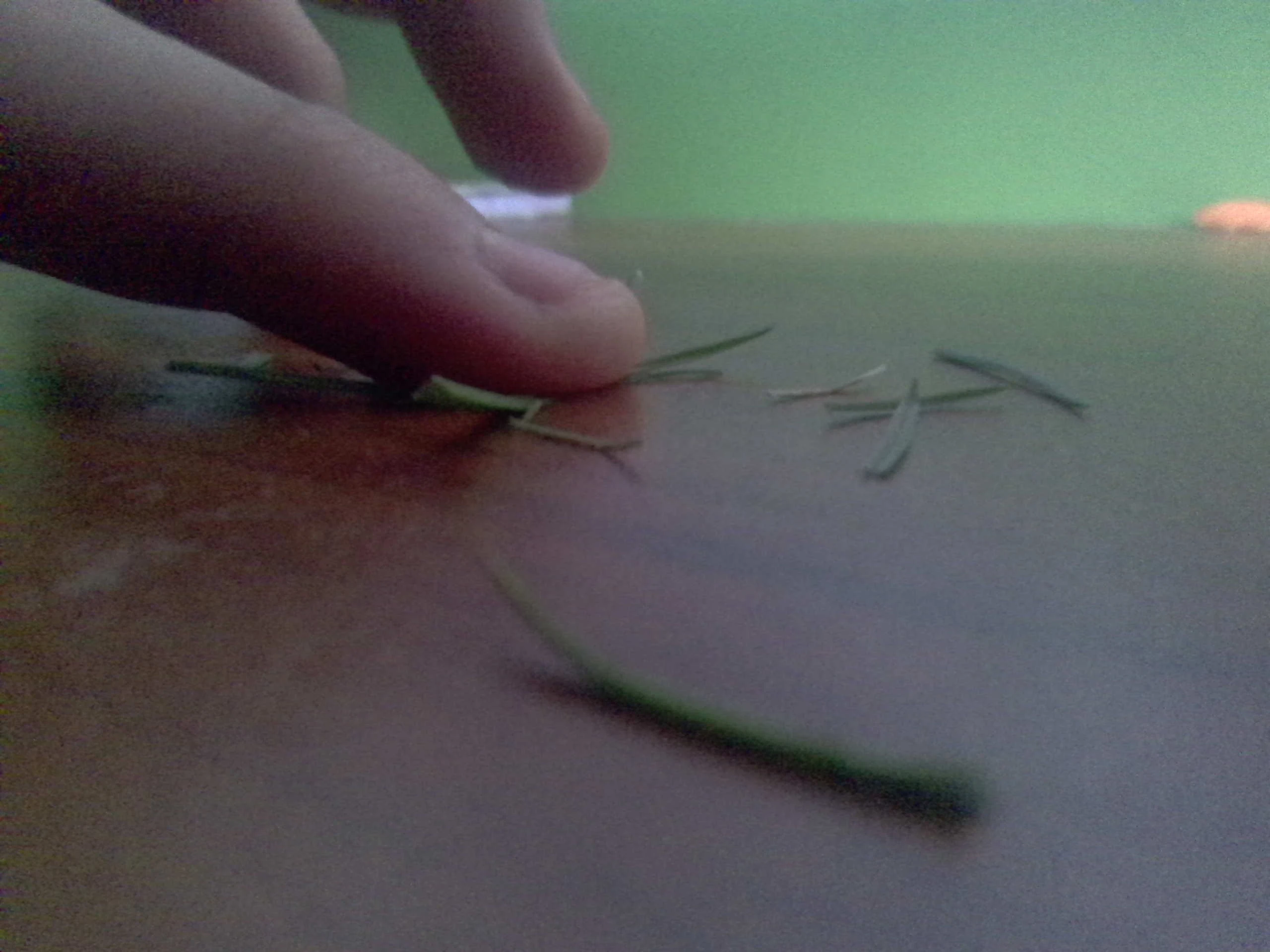 me touching grass real | Fandom