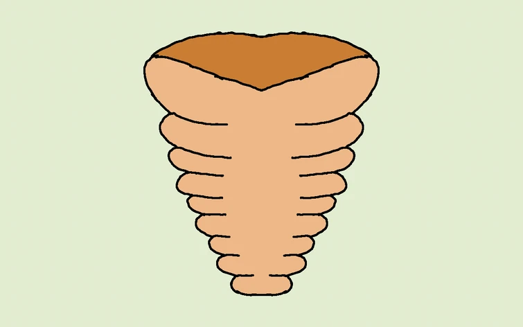 All types of Cone Forms (Papa's Coneria to go) | Fandom