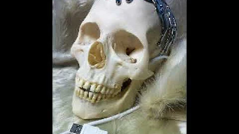 listening to a 24 hour song | Fandom