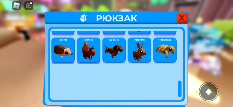 Discuss Everything About Club Roblox Wiki | Fandom