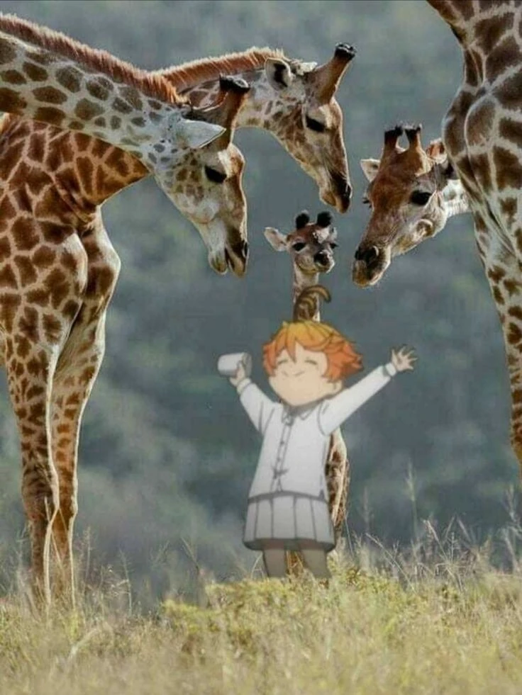 Intro changed | Fandom