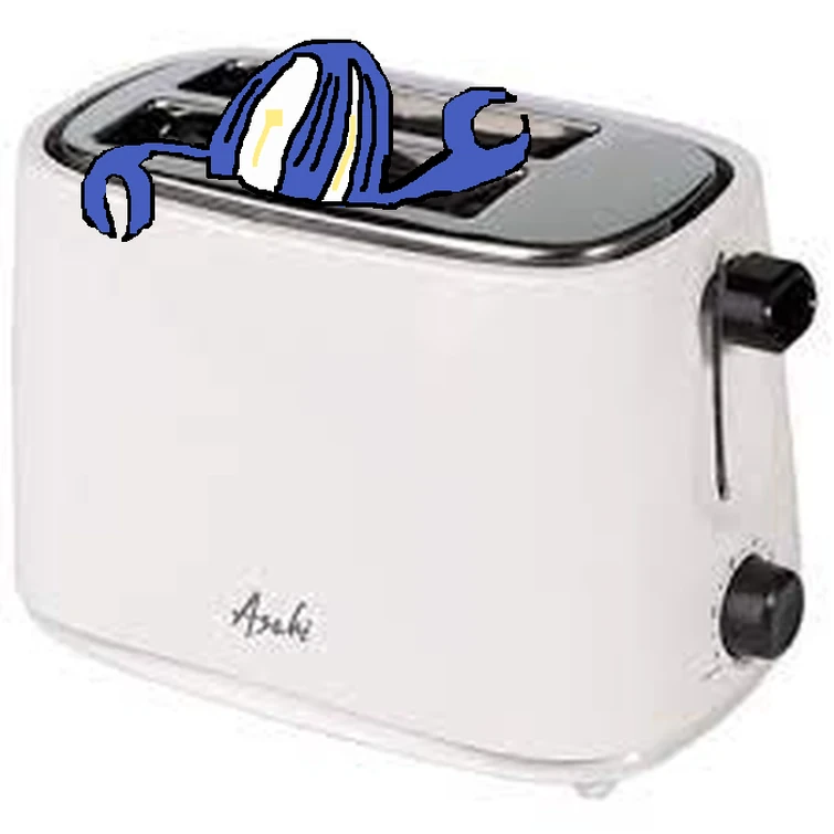 put your entities in the toaster simulator | Fandom