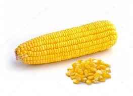 9 minutes steve cob | Fandom