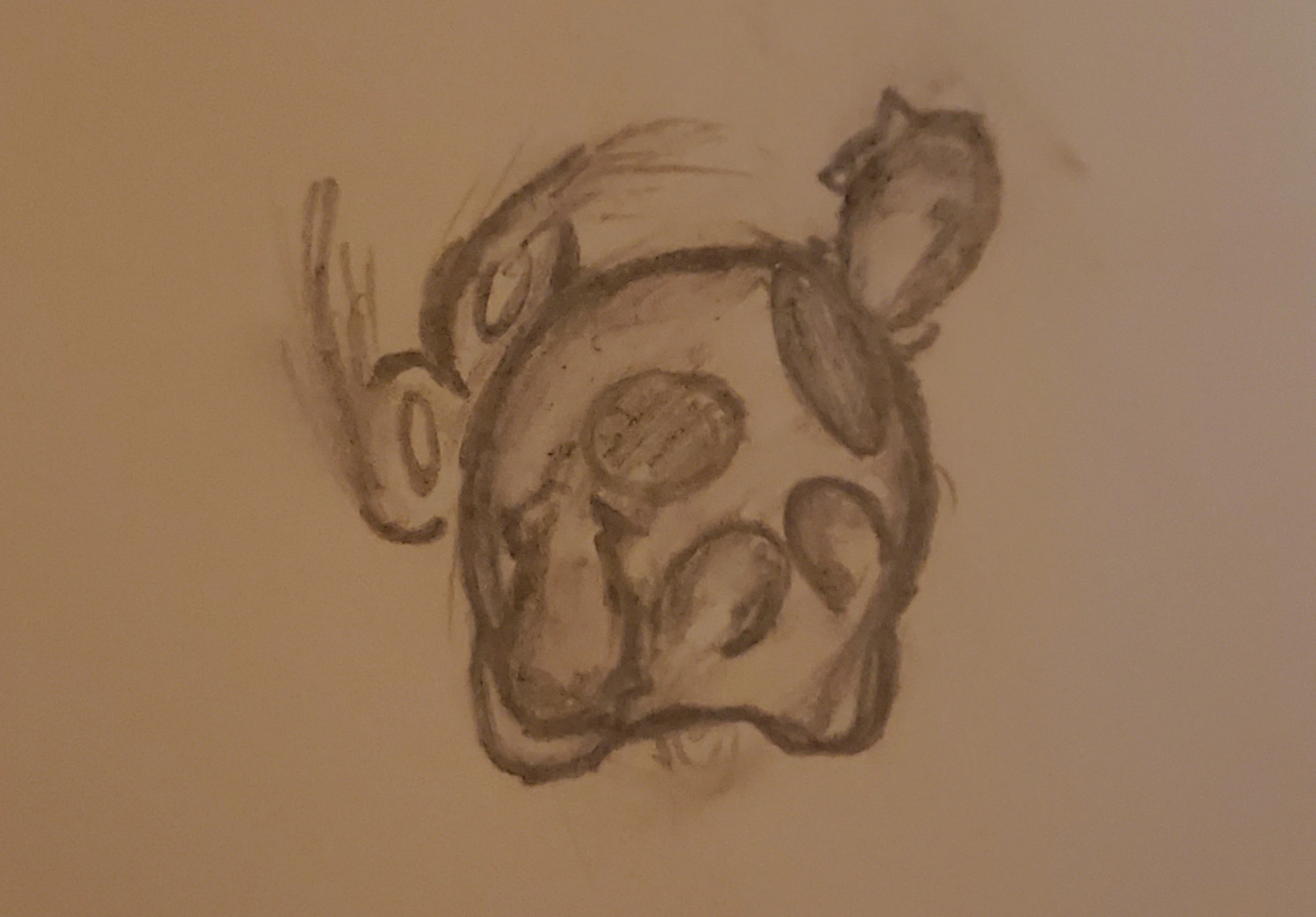 Round bunny wind-up thing | Fandom