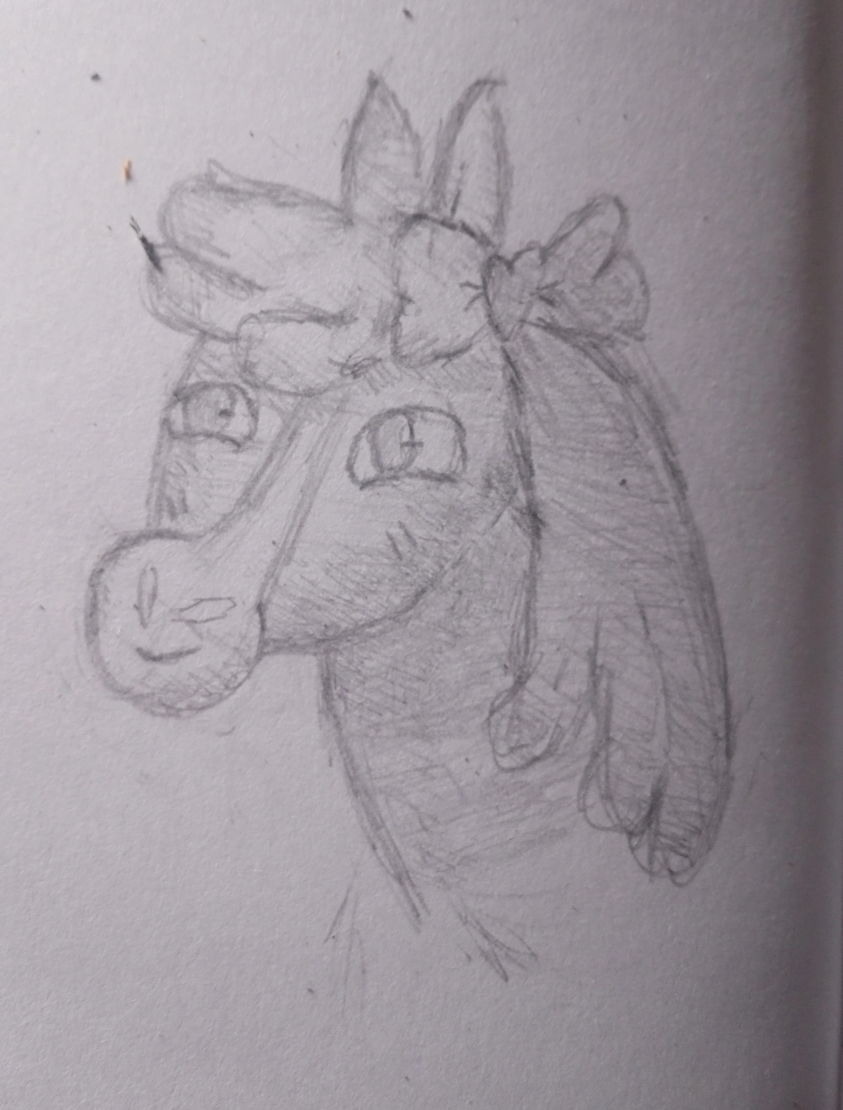 Horse Sketch 💖 | Fandom