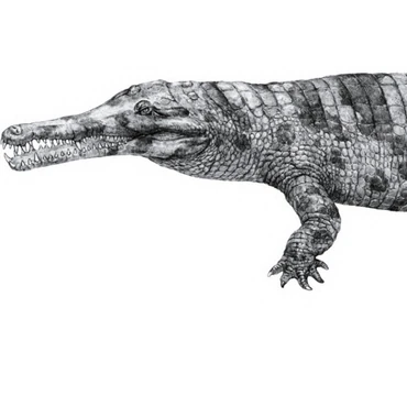 (Who do you like more?) 2022 Archosaur Cup - Group B | Fandom