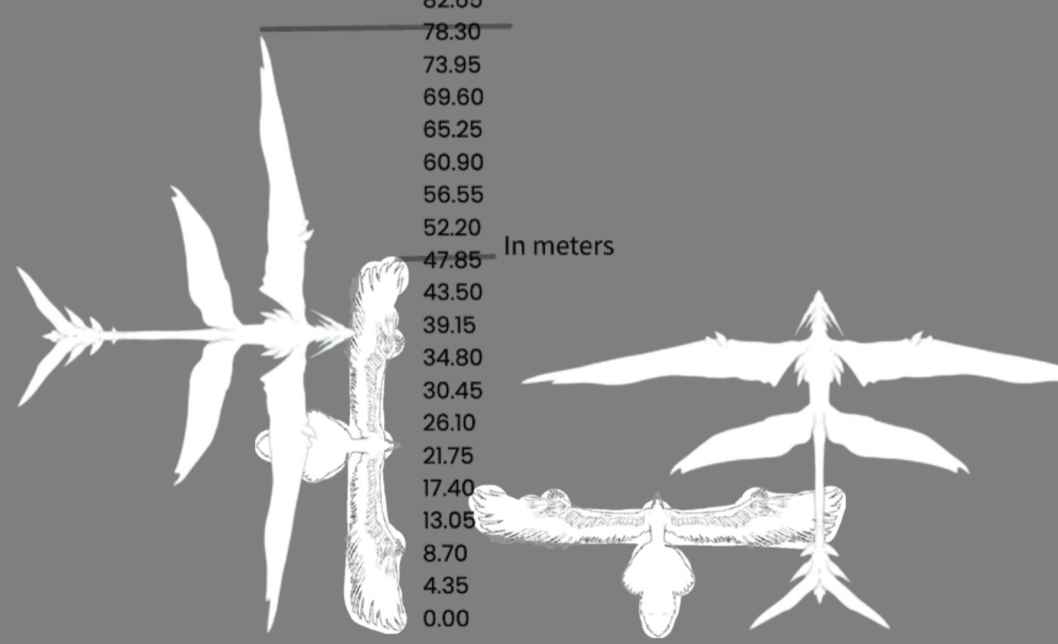 Celeritas to Falco's jaw titan (bird on bird violence) | Fandom