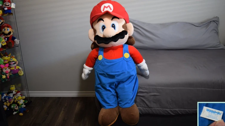 Large Mario | Fandom