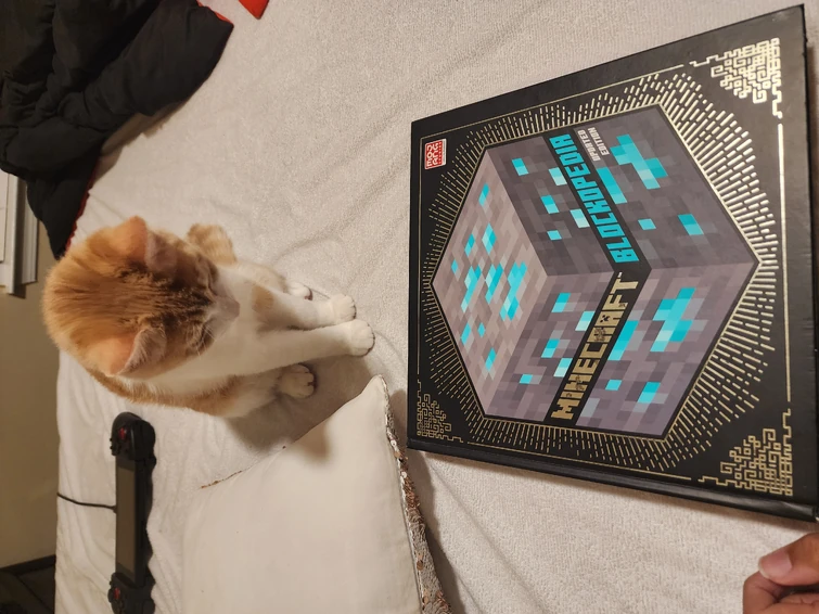 What are the most random images you saved | Fandom