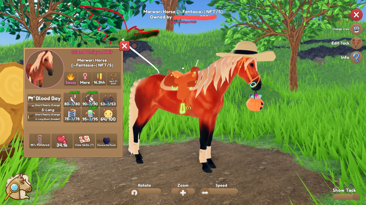 Trading Iuh Marwari rare coat + Blood bay and OOAK pearly orange for ...