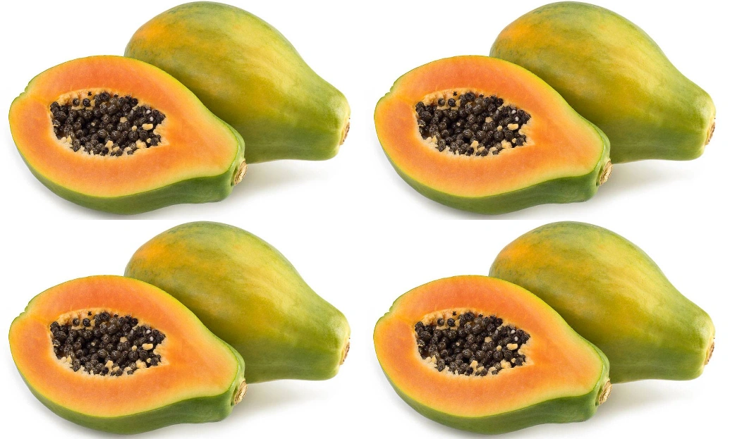 Amy Rose theme song from Sonic Adventure | Fandom