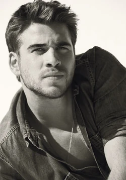 Liam Hemsworth Model