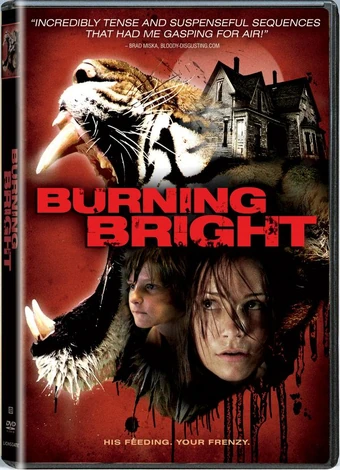 Tharraing Fear Teaghlaigh Barrymore Long Bright River Dubray Books