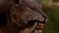 Saber-tooth Tiger(Smilodon fatalis) | Fear world Wiki | Fandom