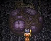 Purple organs | "Fear and Hunger: the Tormentpedia" Wiki | Fandom