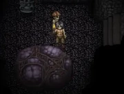 Purple organs | "Fear and Hunger: the Tormentpedia" Wiki | Fandom